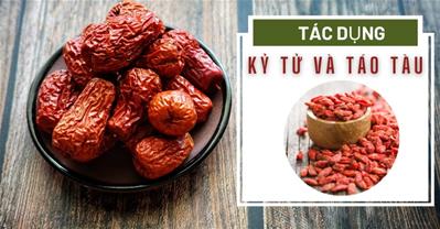 Bật mí 10 tác dụng của kỷ tử và táo tàu đối với sức khỏe